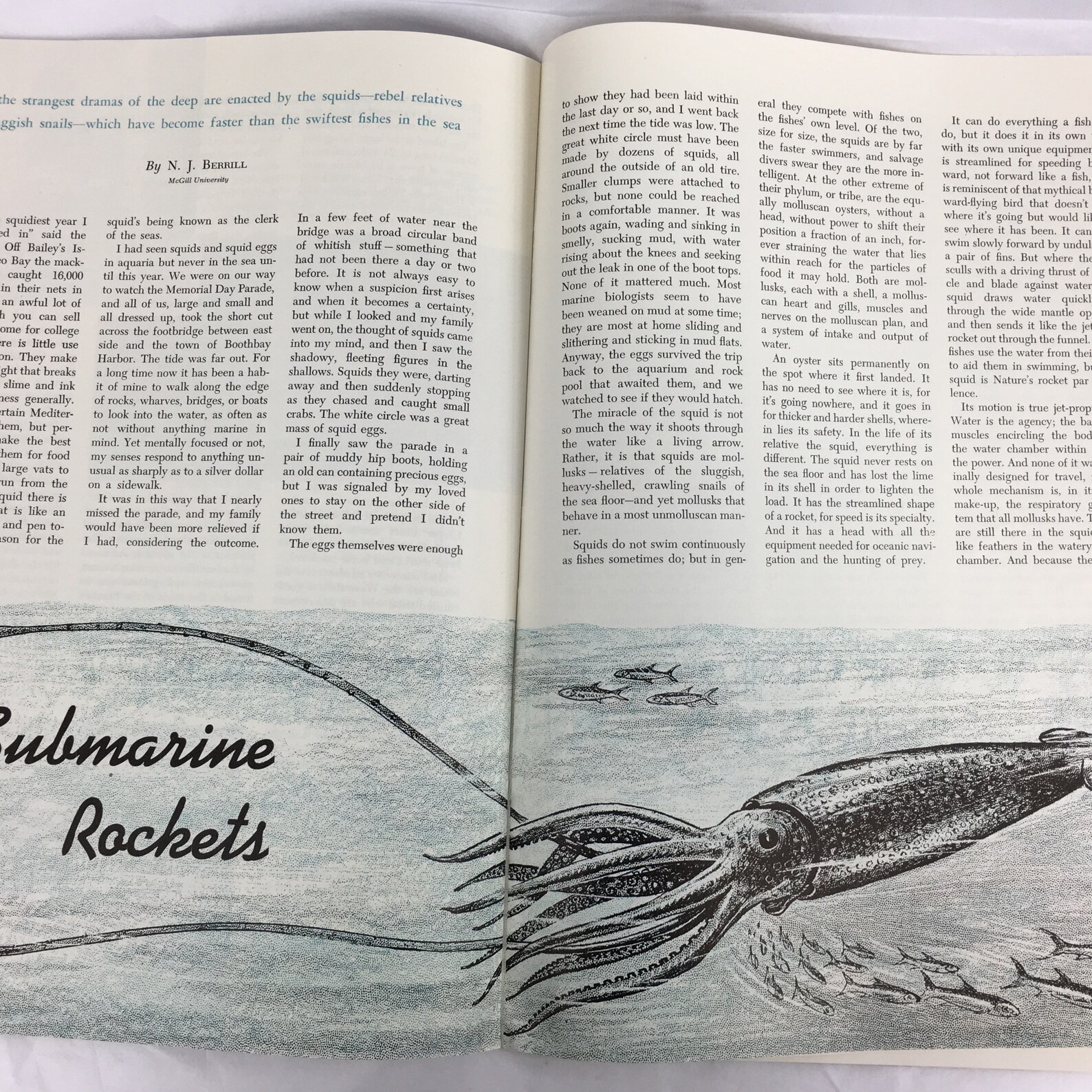 Natural History Museum Magazine Alaska Mummies Squid Zanzibar - Etsy