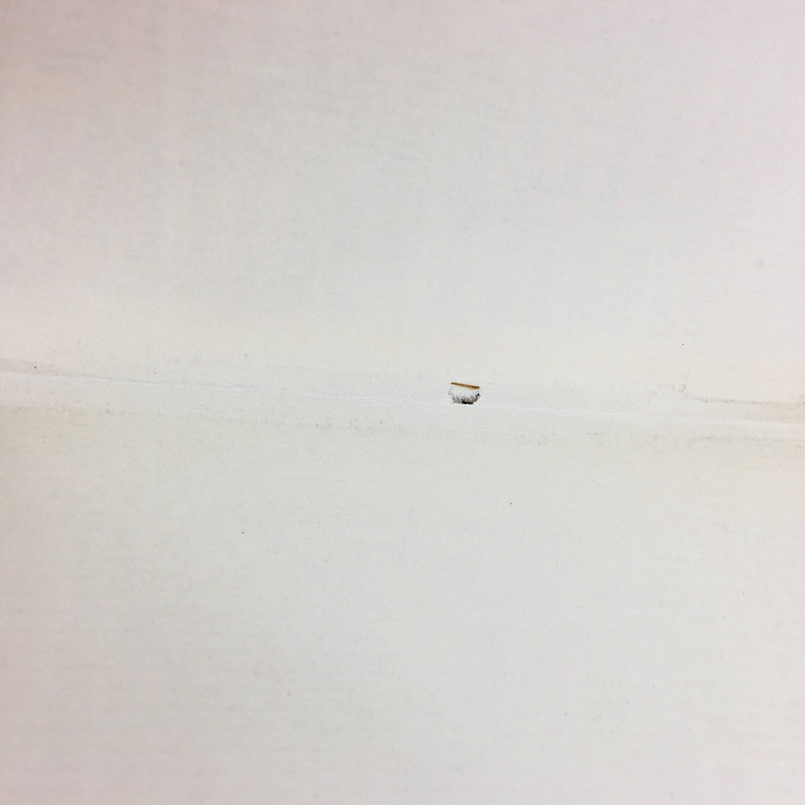 An Epitome of My Life / Major Buck Walton / 21st Texas Cavalry / Rare ...