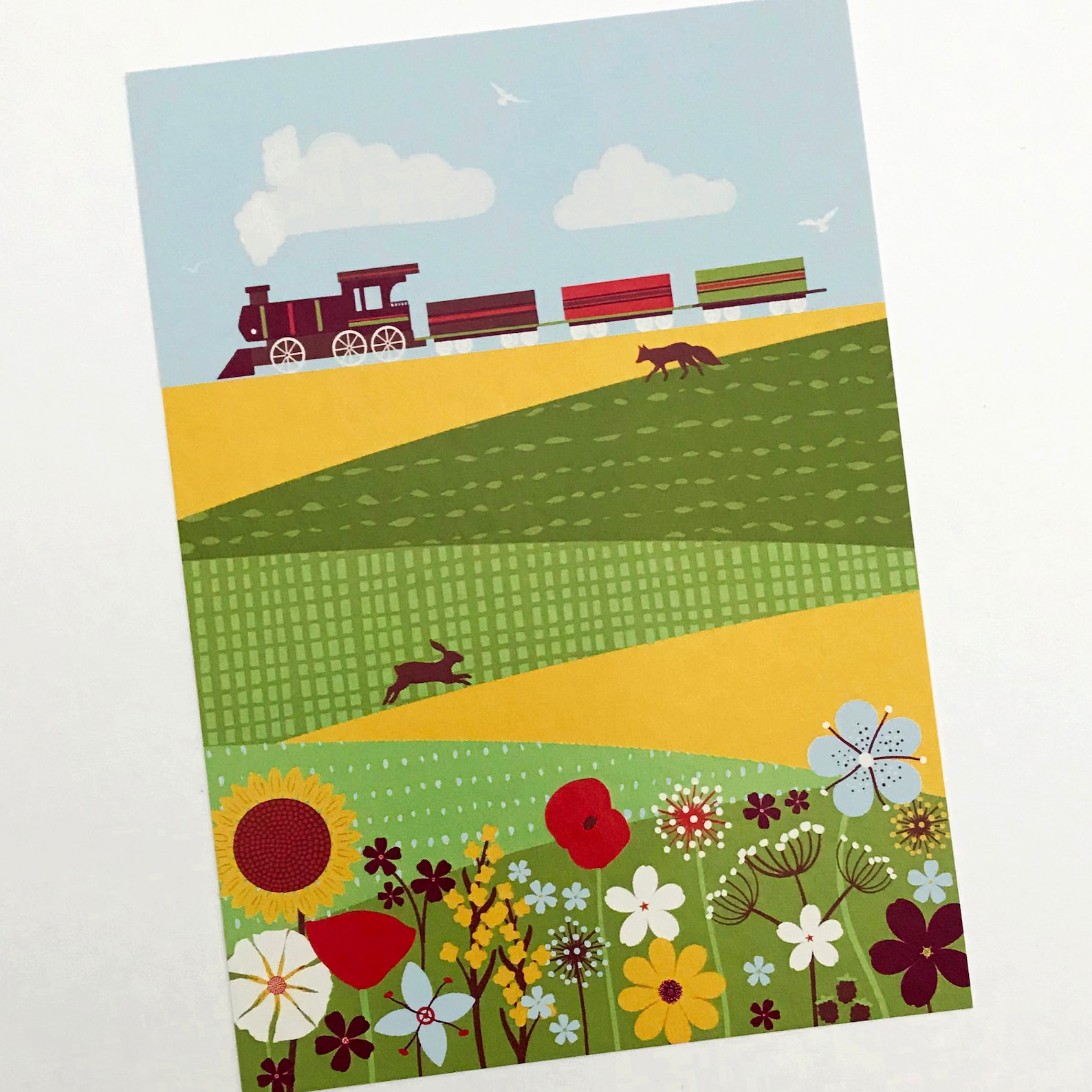 Set of Six Countryside Themed Postcards - Countryside Capers - Flower ...