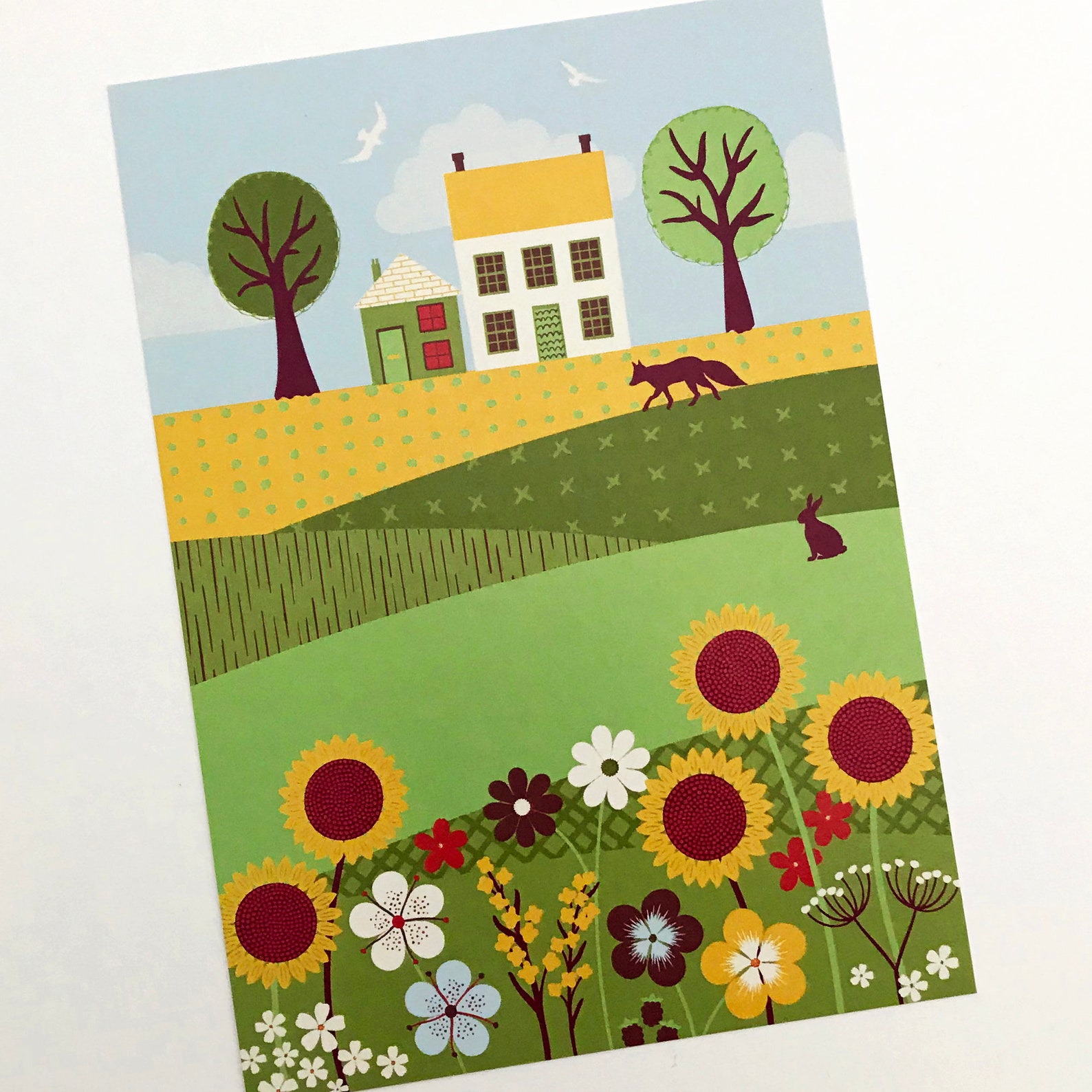 Set of Six Countryside Themed Postcards - Countryside Capers - Flower ...