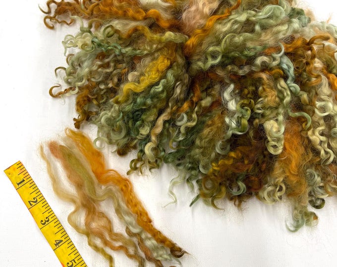 Hand Dyed Teeswater Wool Locks, Gold, Turquoise, Rust, 1oz - Etsy