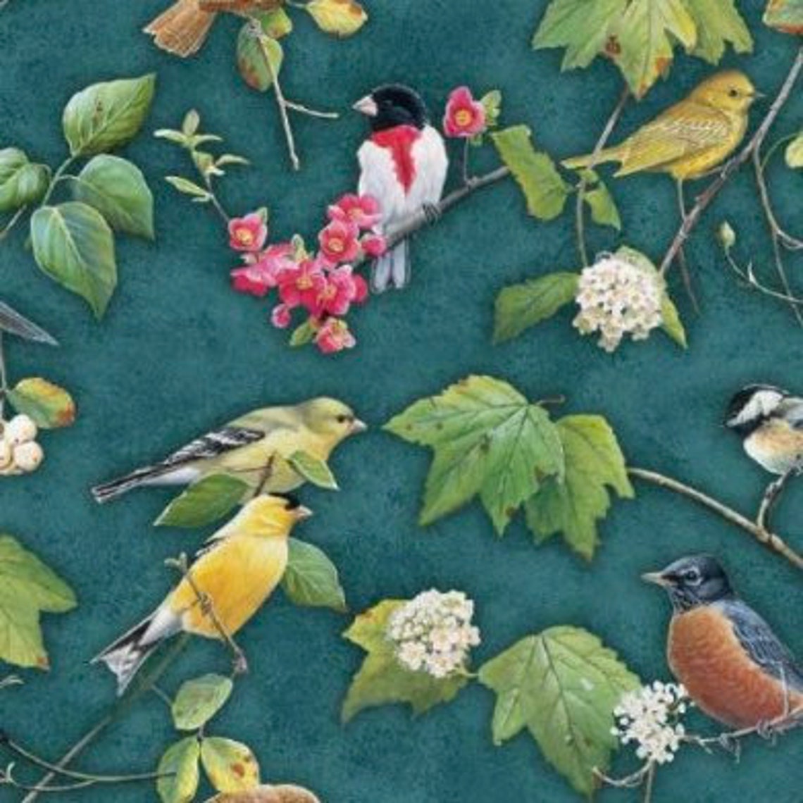 100% Cotton Bird Fabric Digital Print | Etsy