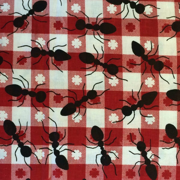 Ants on Red and White Fabric - Etsy