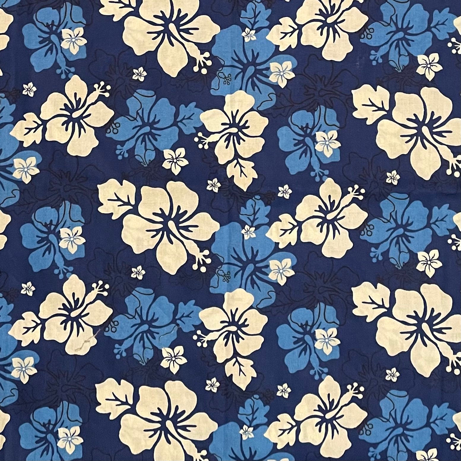 Blue Hawaiian Flower Background