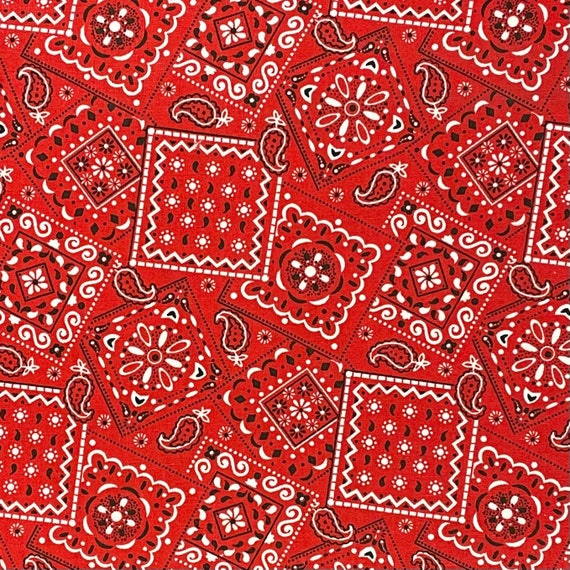 Red Paisley Bandana Pattern