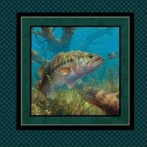 100% Cotton Fish Fabric Pillow Panel, Digital Print - Etsy