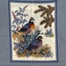 Beautiful Game Bird Picture Book Patches Fabric Panel, Cranston Print ...