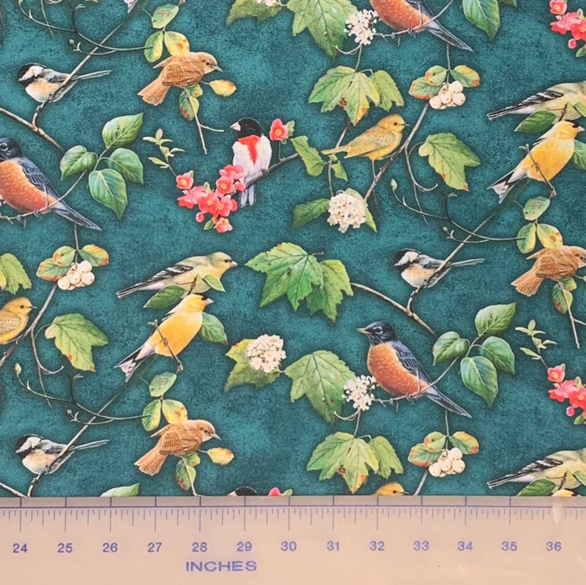 100% Cotton Bird Fabric Digital Print | Etsy