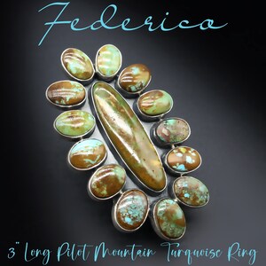MASSIVELY HUGE SHOWSTOPPER! -federico Jimenez-earthy Brown Natural ...