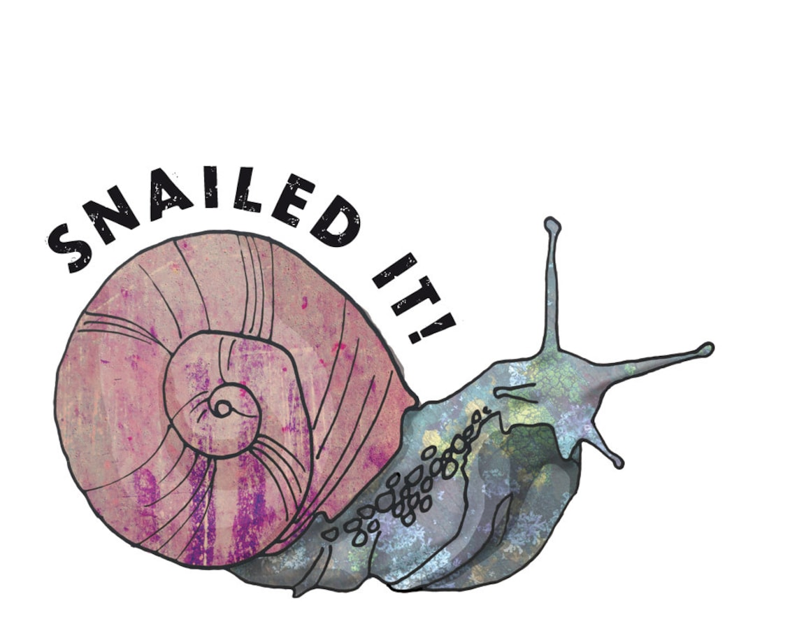 Snailed It good job card Graduation Card funny | Etsy