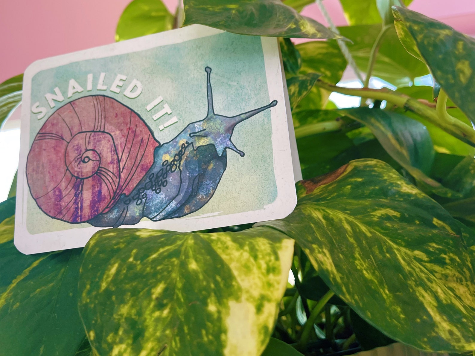 Snailed It | Good Job Card | Graduation Card | Proud of You Yay Card ...