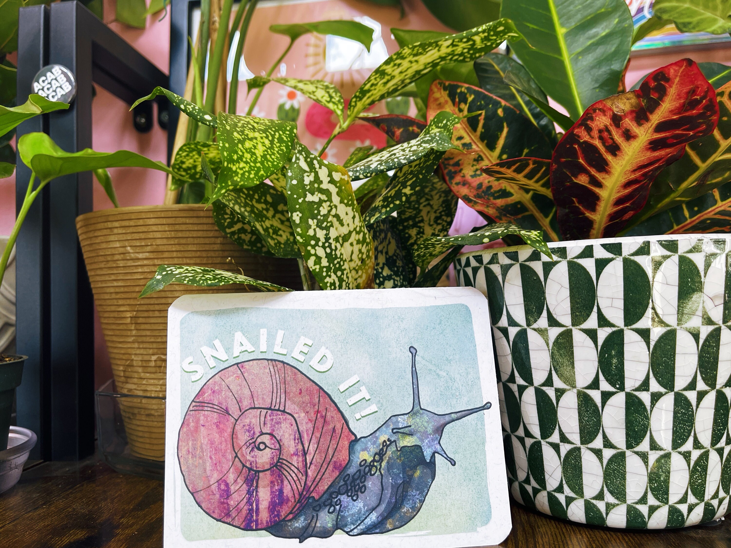 Snailed It | Good Job Card | Graduation Card | Proud of You Yay Card ...