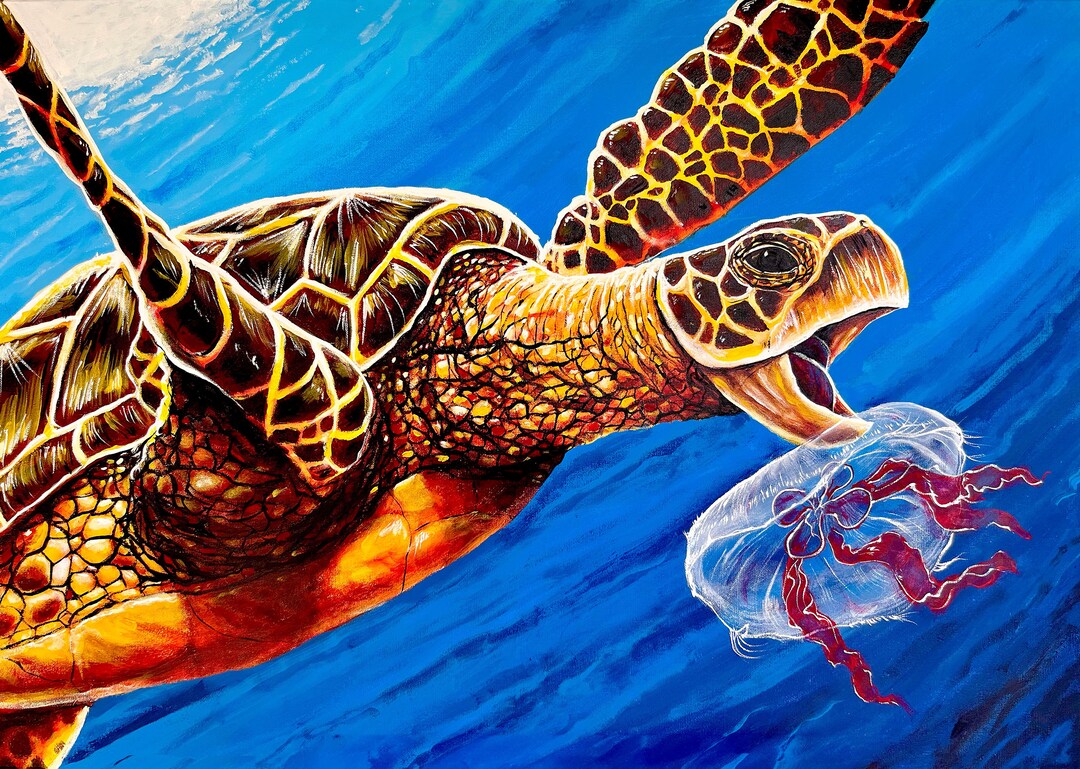 Sea Turtle Biting Jellyfish, Turtle, Painting, Art, Boat, Fish, Yacht ...