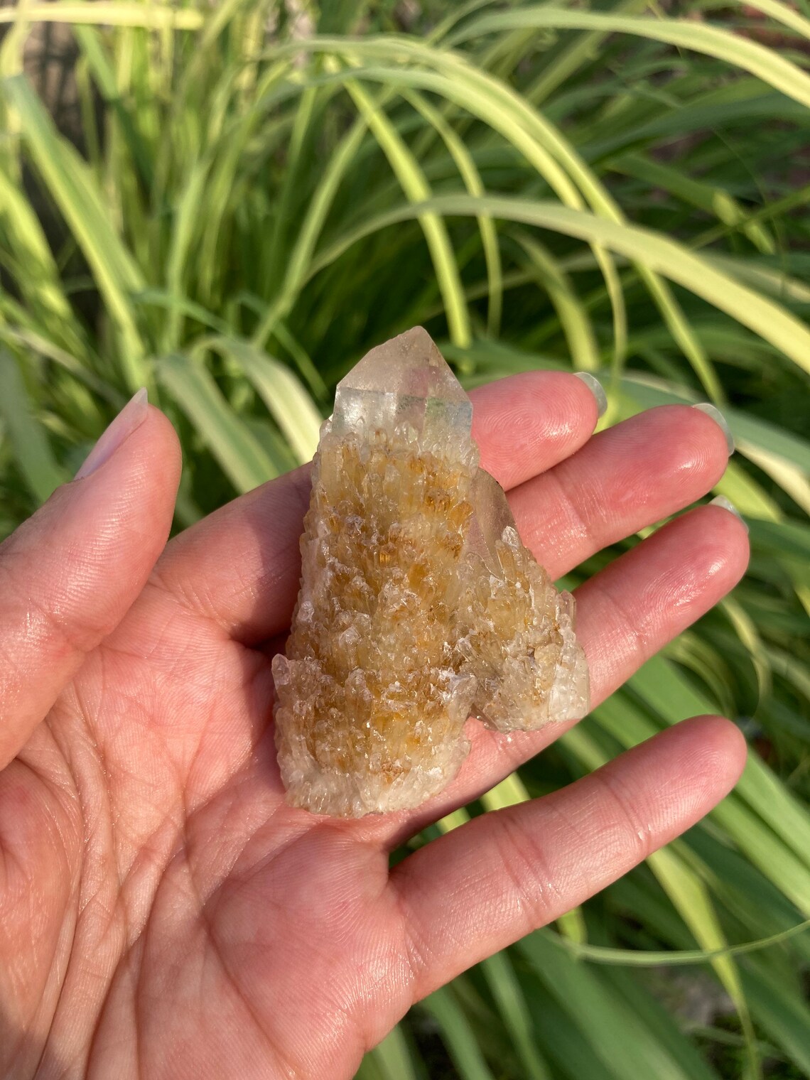 Real ALL Natural Citrine Crystal 16 - Etsy