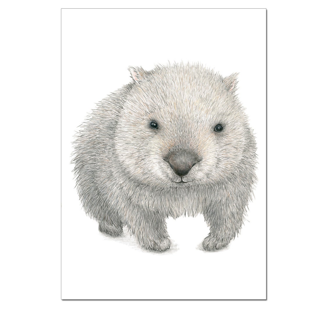 Wombat Colour Illustration Australiana Print 3 Sizes - Etsy