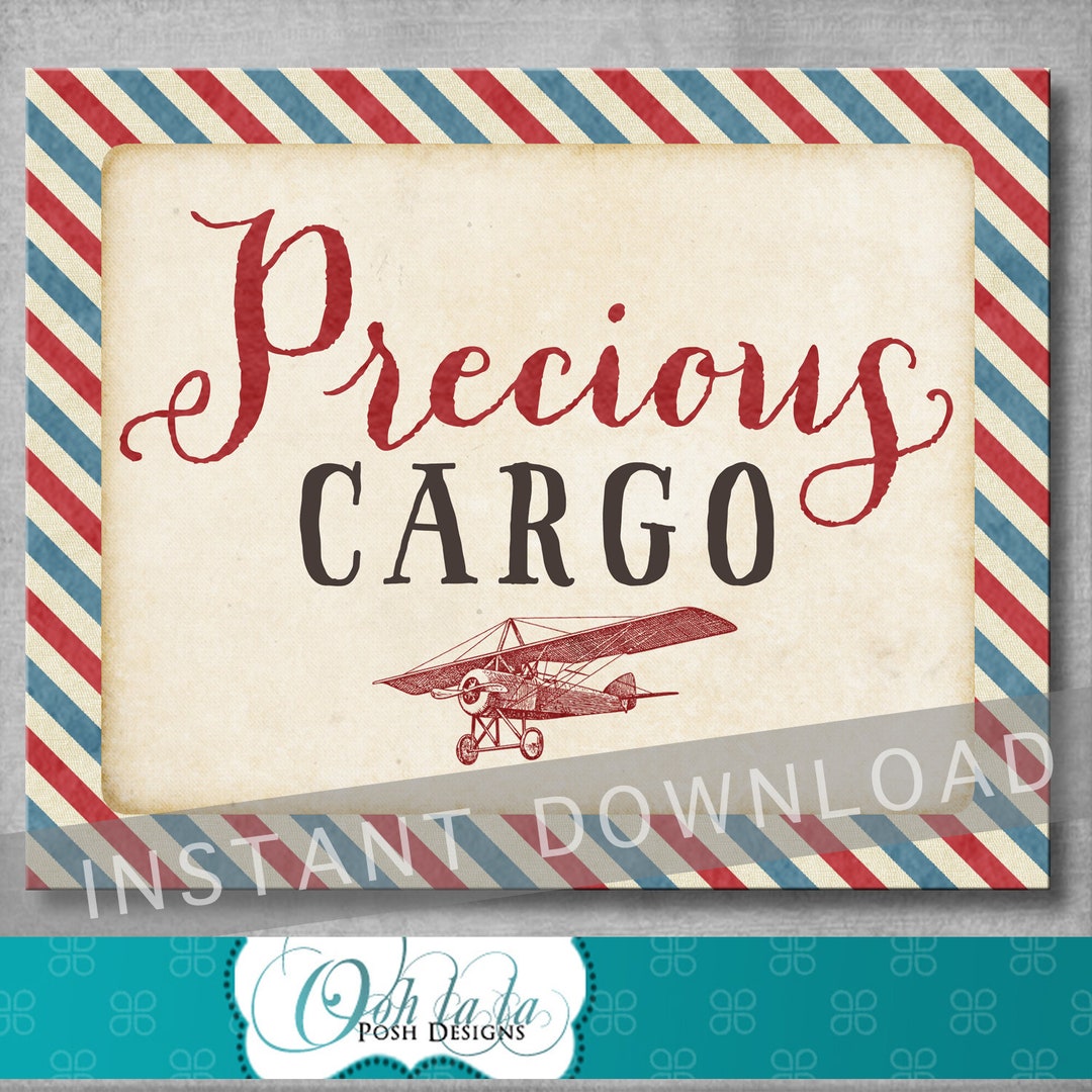 Precious Cargo Sign - 8x10 Inches - Vintage Airplane Birthday - Baby ...
