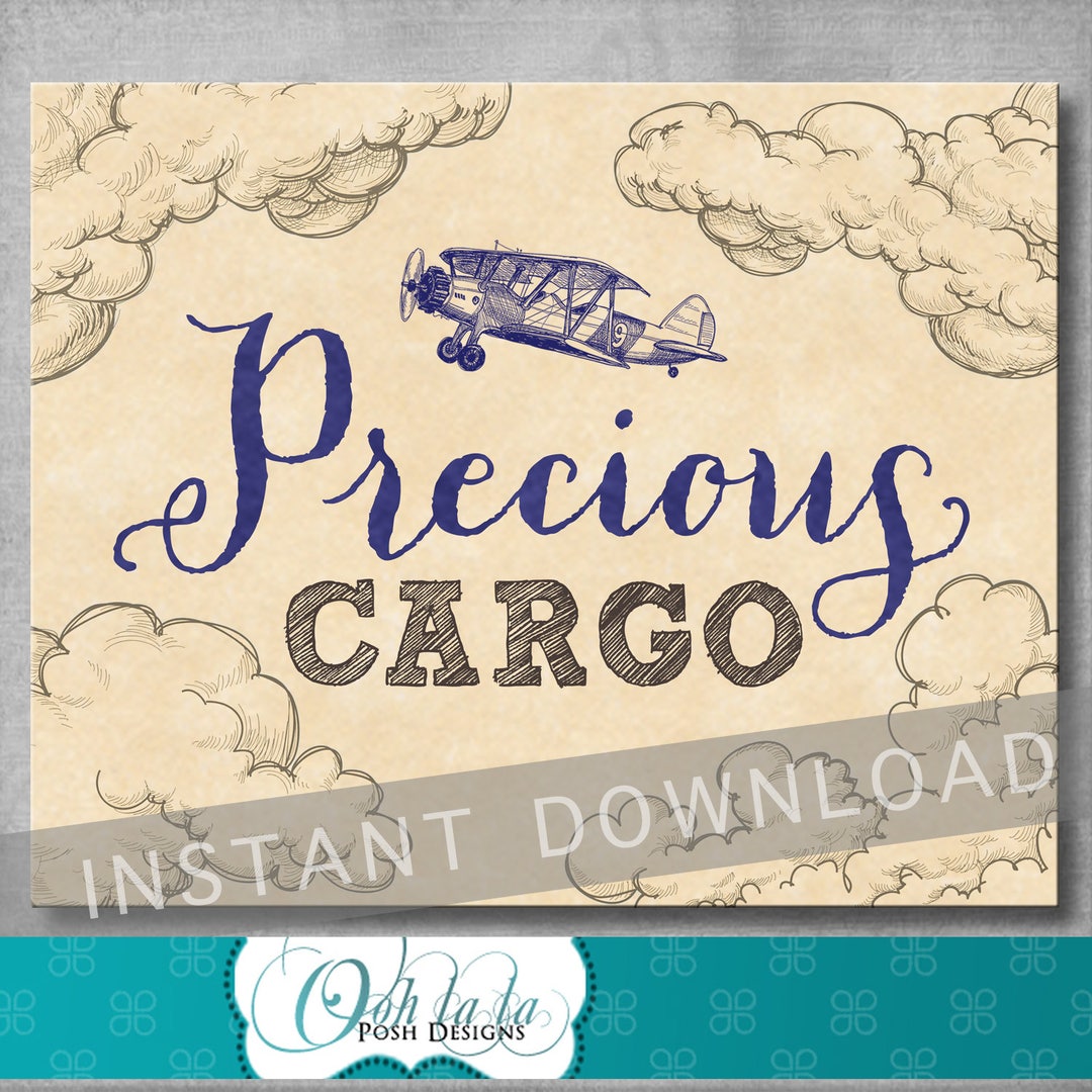 Precious Cargo Sign - 8x10 Inches - Vintage Airplane - Baby Shower ...