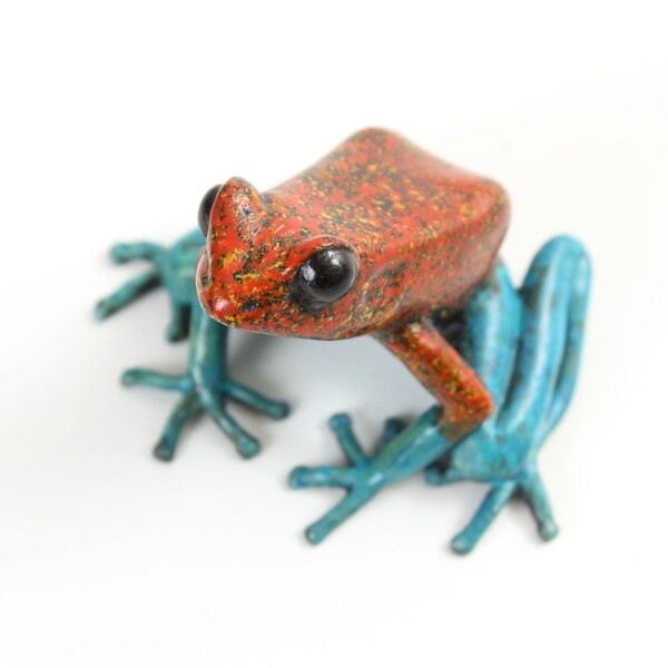 Poison Dart Frog - Etsy