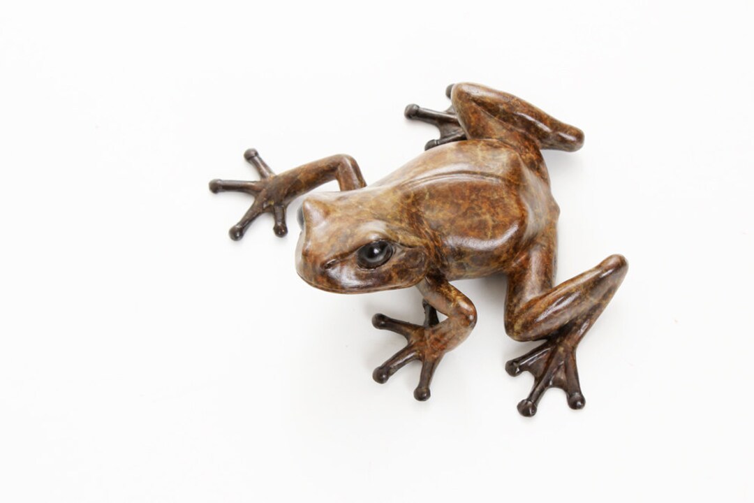Limited Edition Bronze Tree Frog Looking Left - Etsy