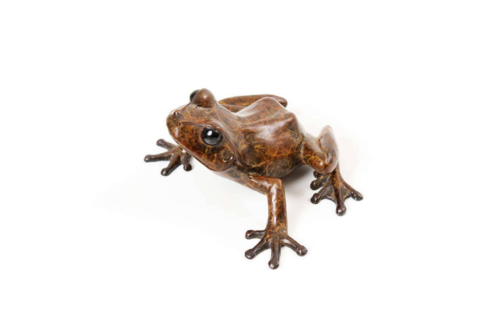 Limited Edition Bronze Tree Frog Looking Right - Etsy