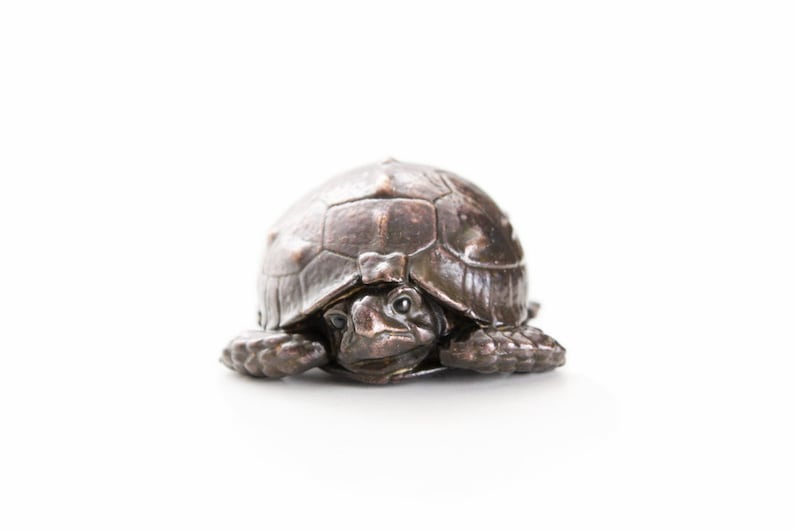 Tortoise Hatchling With Head Tucked In. Open Edition Bronze. - Etsy