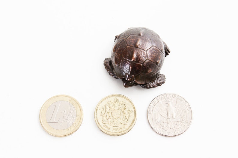 Tortoise Hatchling With Head Tucked In. Open Edition Bronze. - Etsy