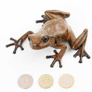 Limited Edition Bronze Tree Frog Looking Left - Etsy