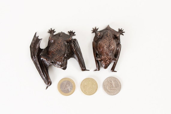 Real Bat Wings Folded