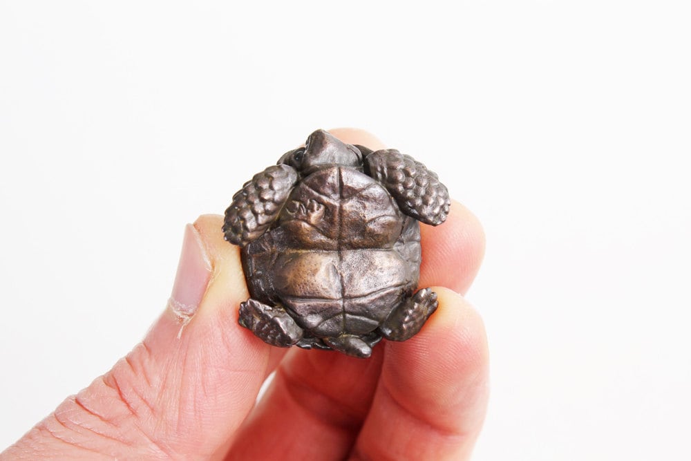 Tortoise Hatchling With Head Tucked In. Open Edition Bronze. - Etsy
