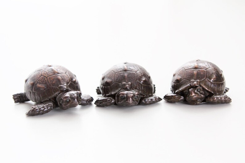 Tortoise Hatchling With Head Tucked In. Open Edition Bronze. - Etsy