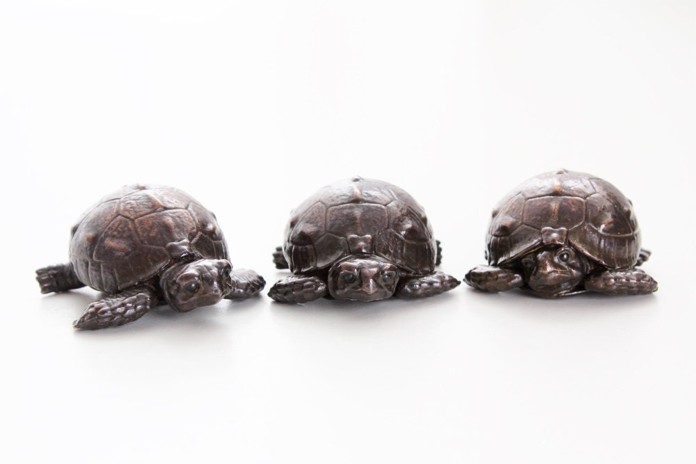Tortoise Hatchling With Head Tucked In. Open Edition Bronze. - Etsy