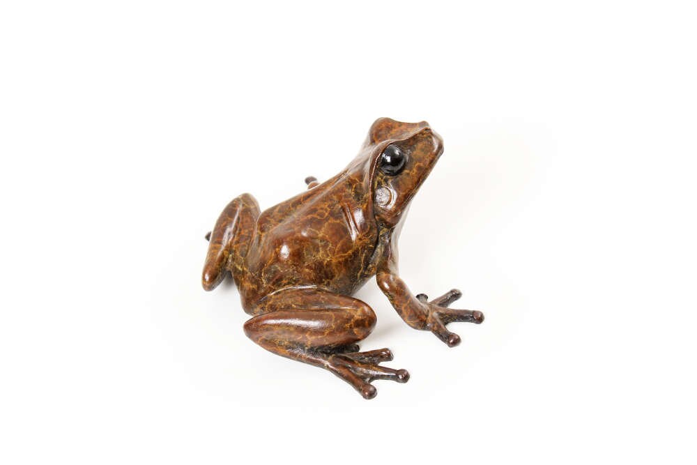 Limited Edition Bronze Tree Frog Looking Right - Etsy