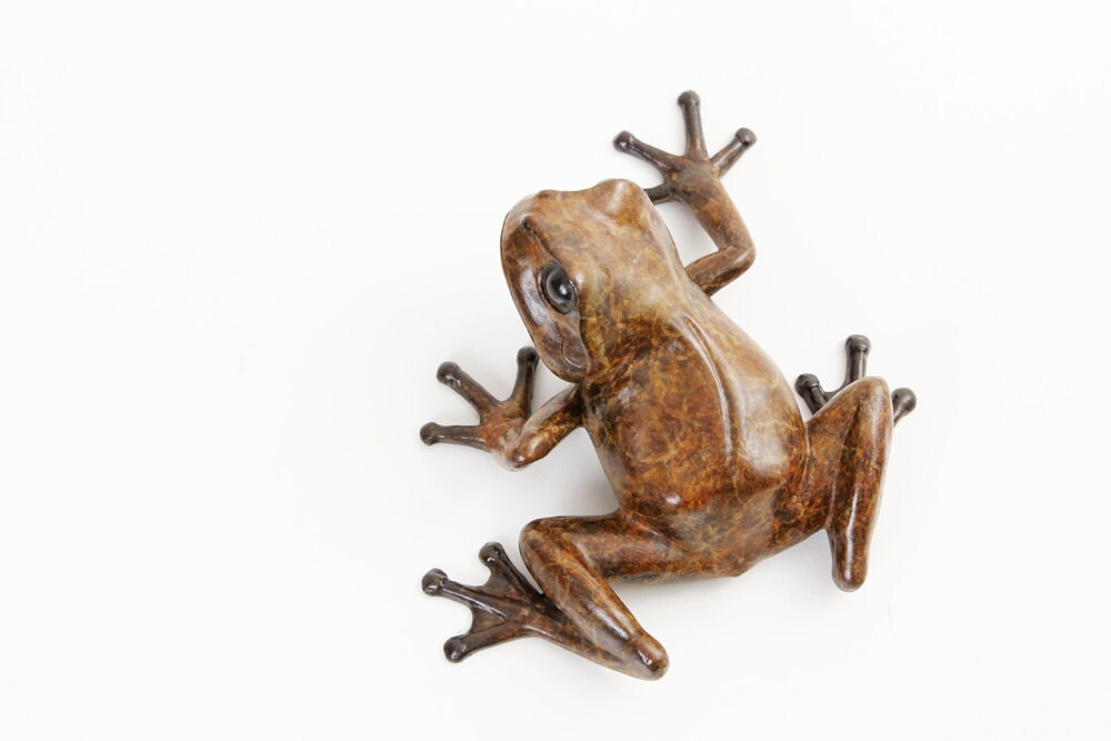 Limited Edition Bronze Tree Frog Looking Left - Etsy