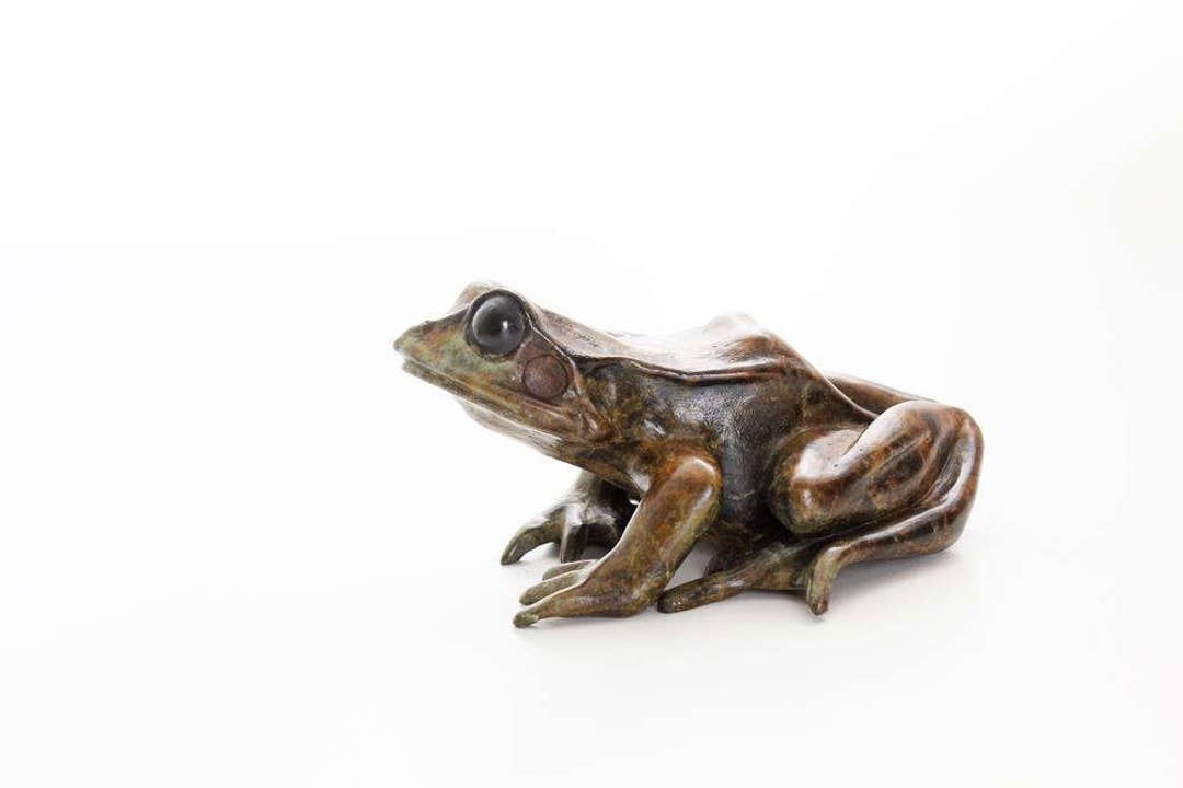 Common Frog Looking up . Limited Edition Bronze - Etsy