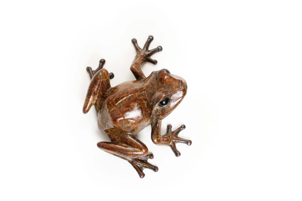 Limited Edition Bronze Tree Frog Looking Right - Etsy
