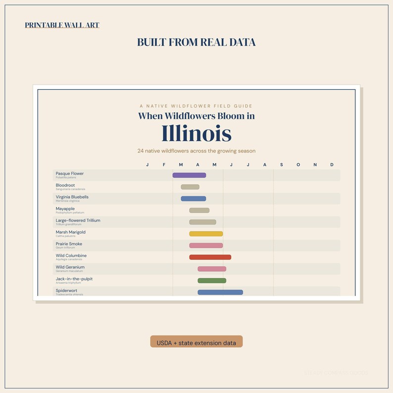 Illinois Wildflower Bloom Calendar | Printable Native Plant Wall Art - Etsy