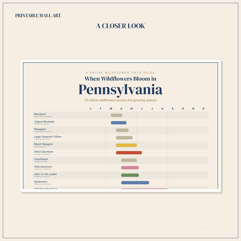 Pennsylvania Wildflower Bloom Calendar | Printable Native Plant Wall ...