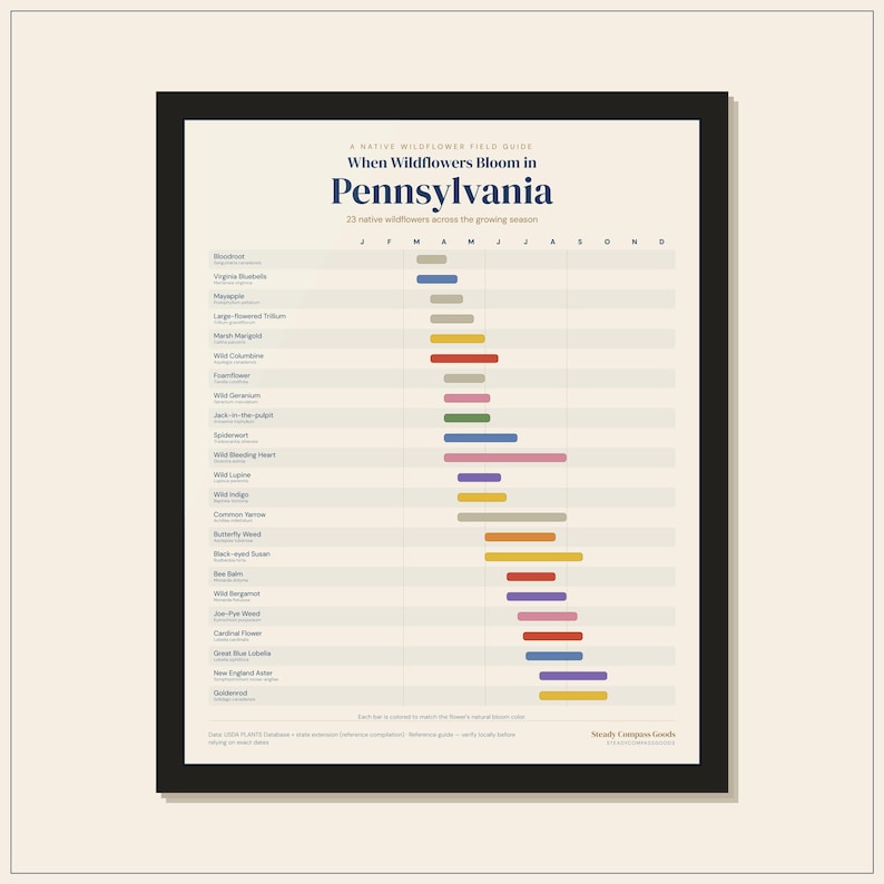 Pennsylvania Wildflower Bloom Calendar | Printable Native Plant Wall ...