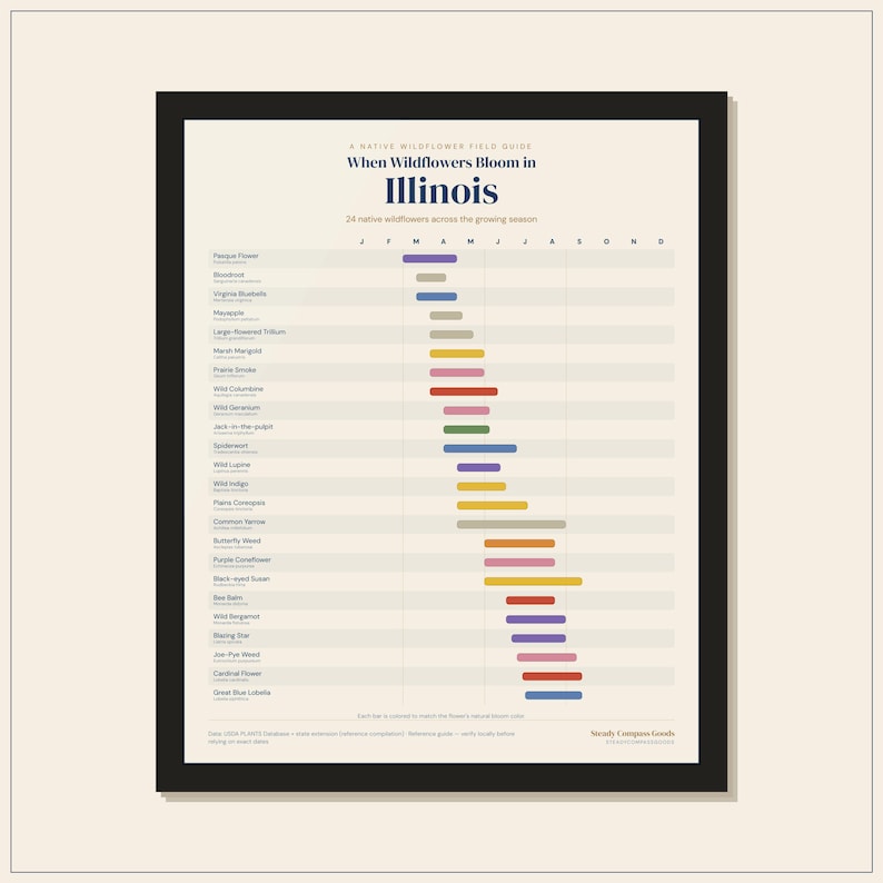 Illinois Wildflower Bloom Calendar | Printable Native Plant Wall Art - Etsy