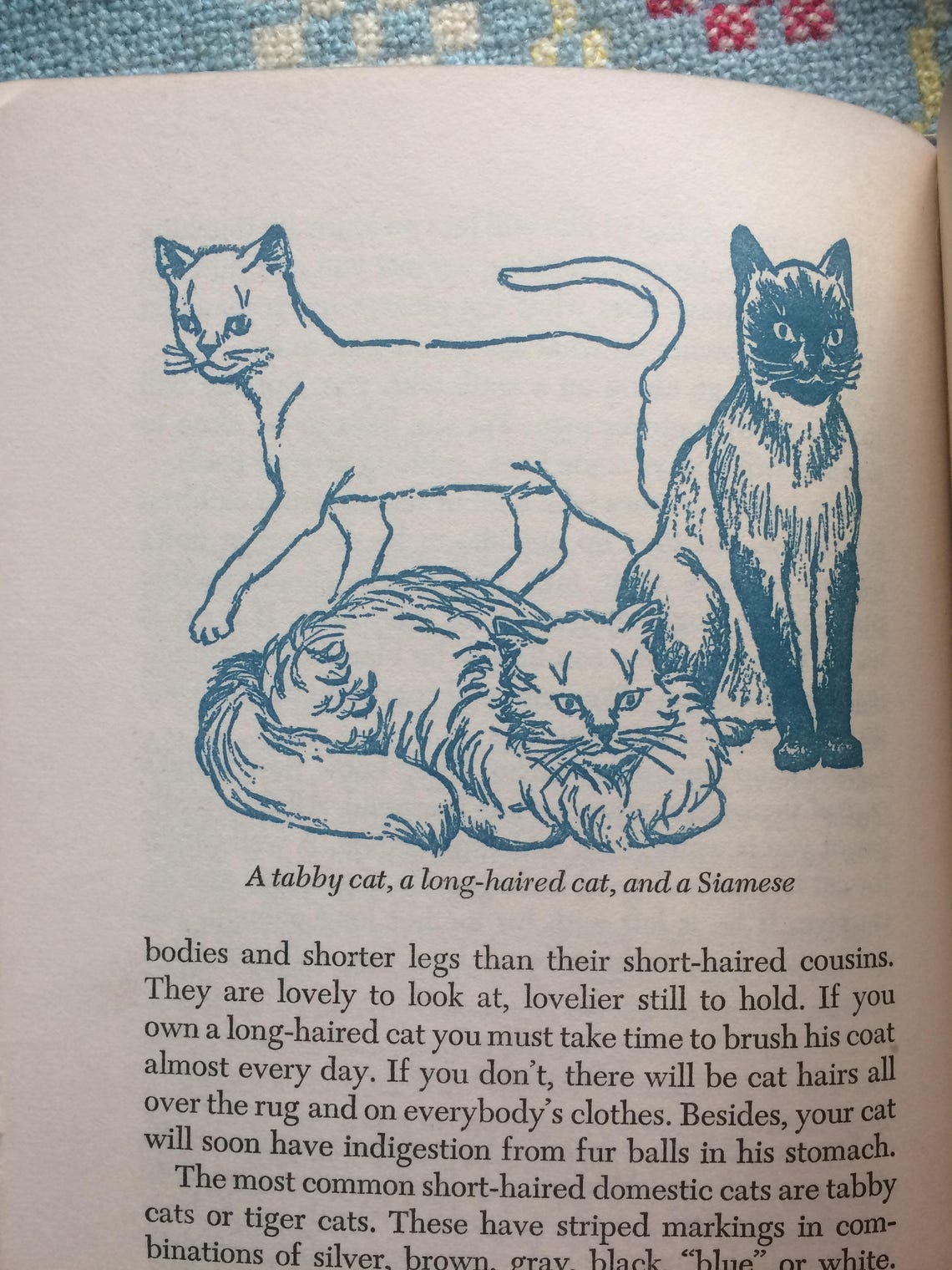 The Real Book About Pets and How to Care for Them Vintage | Etsy