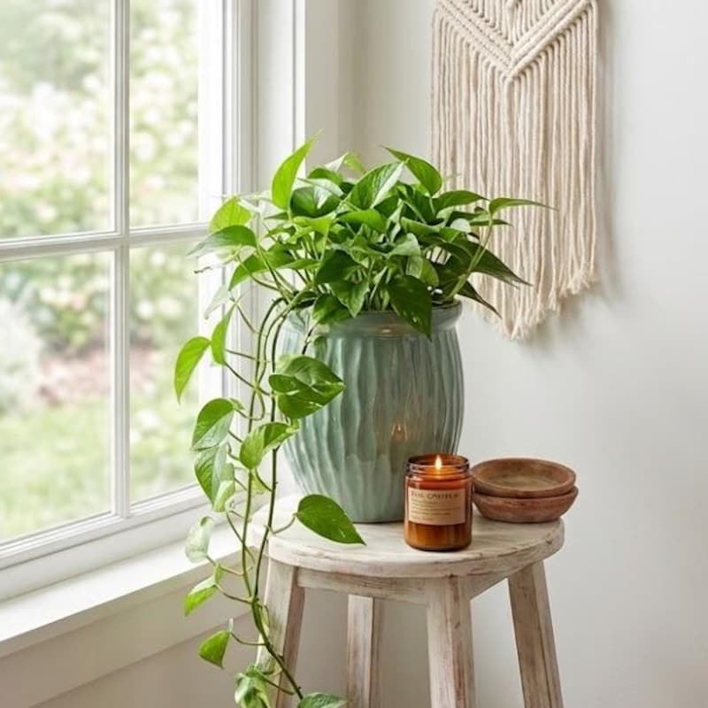 Extra Large Blue Planter - Etsy UK