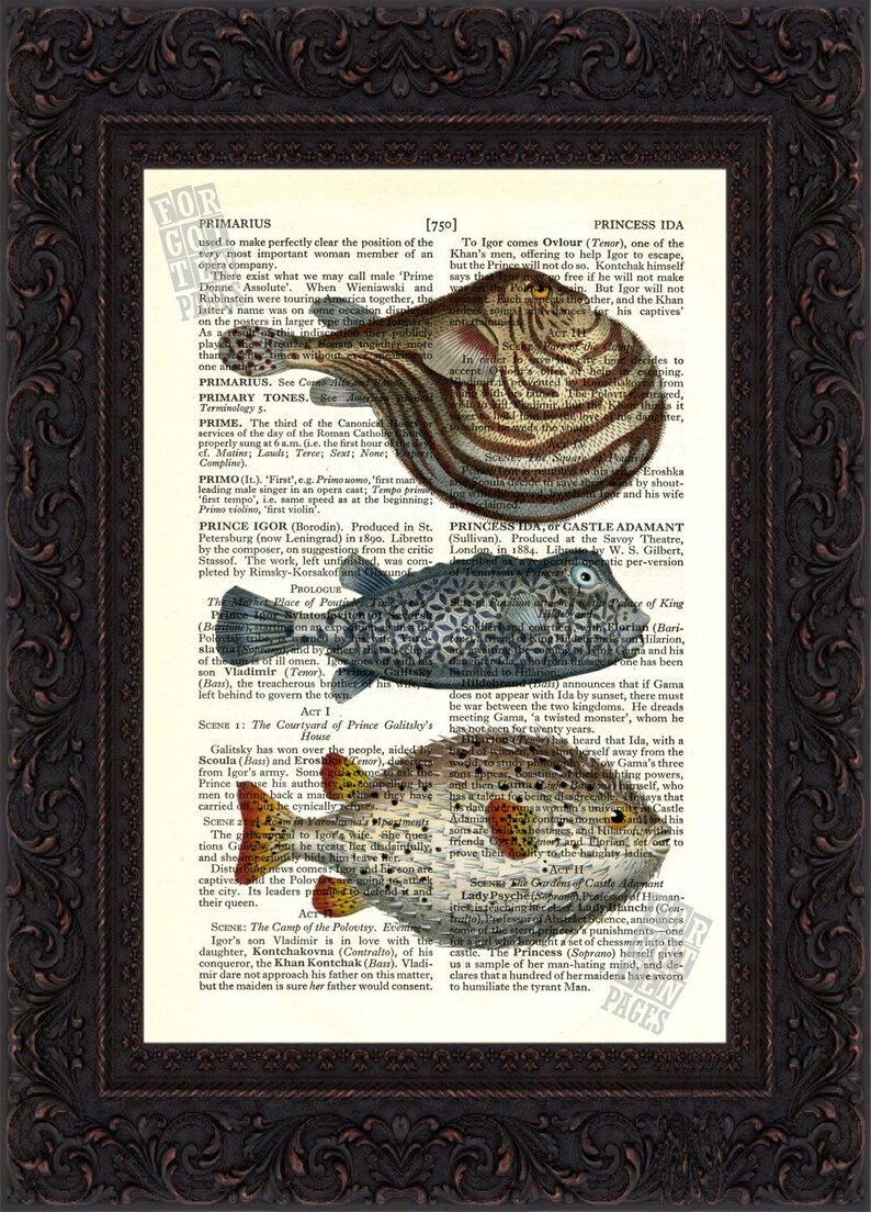 Fish Print Exotic and Unusual set of Puffer Fish Antique | Etsy