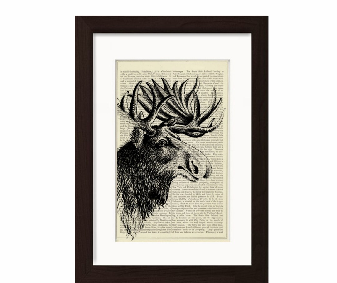 Majestic Moose Head Engraving Print on Vintage Upcycled Page Mixed ...