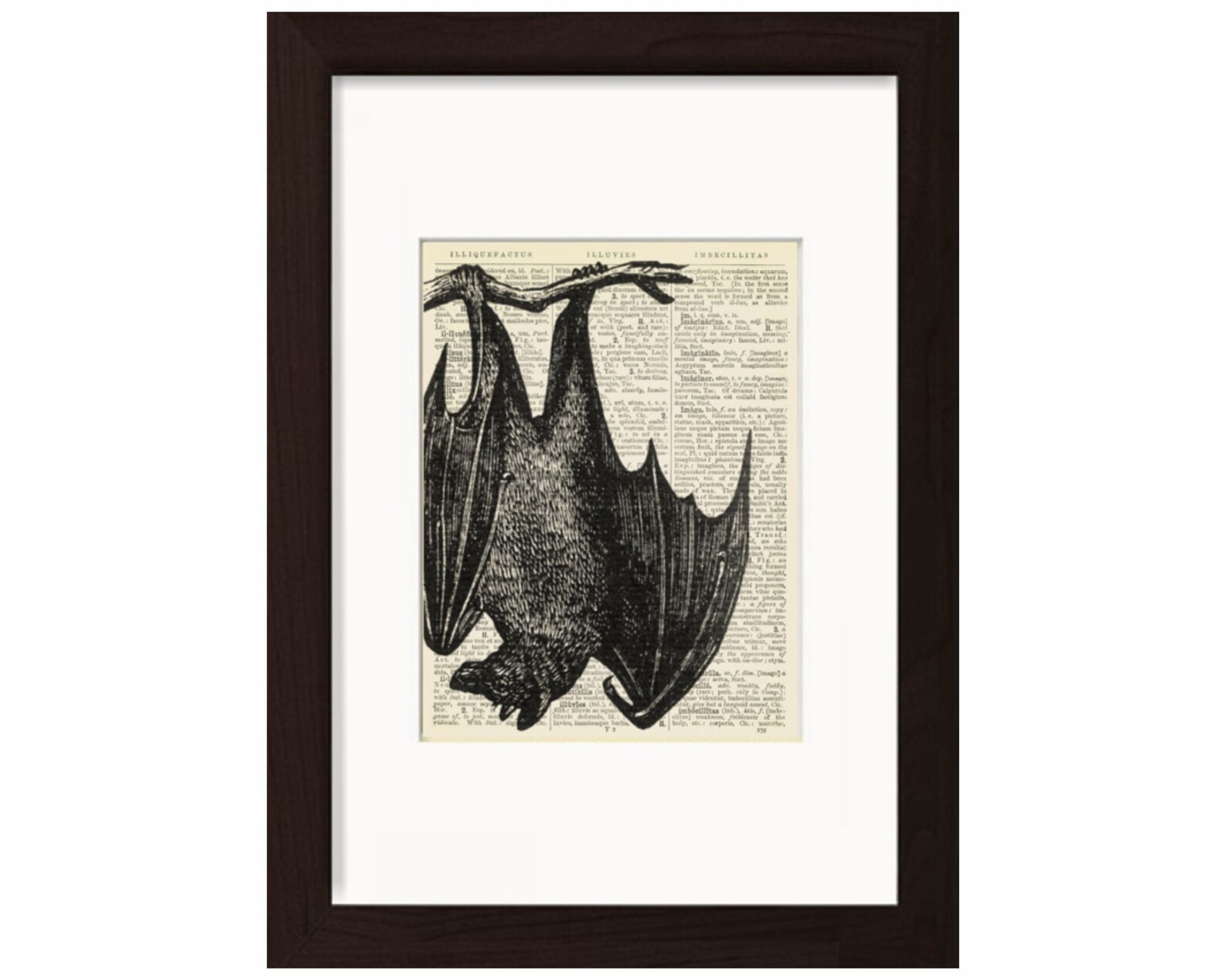 Hanging Fruit Bat Print on Upcycled 1896 Latin English - Etsy