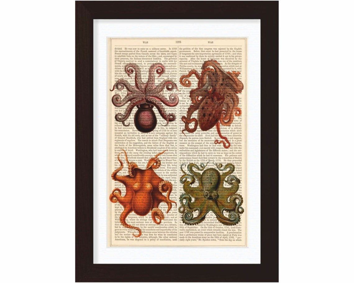 Composite of 4 Octopuses Cephalopod Print on Vintage up Cycled - Etsy