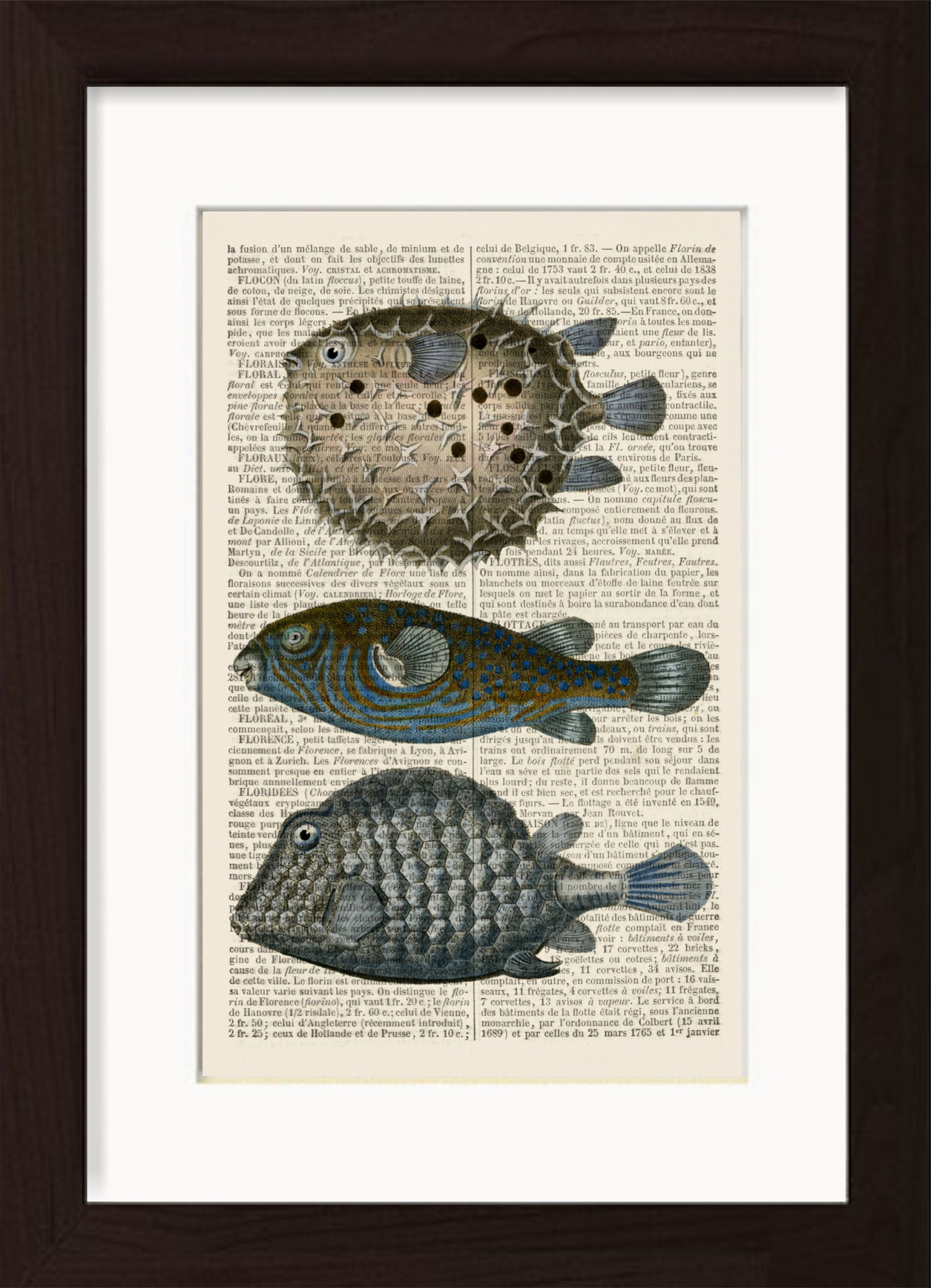 Fish Print Exotic and Unusual Set of Puffer Fish Antique - Etsy