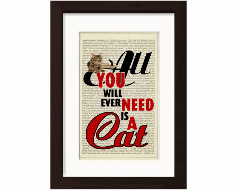 Cat Lover Print All You Will Ever Need is A Cat Print on - Etsy