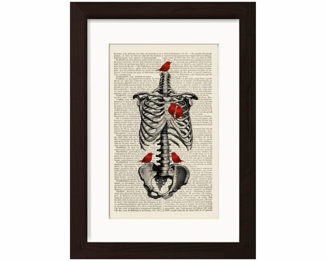 Anatomical Print Rib Cage With Red Bird Heart Mixed Media - Etsy