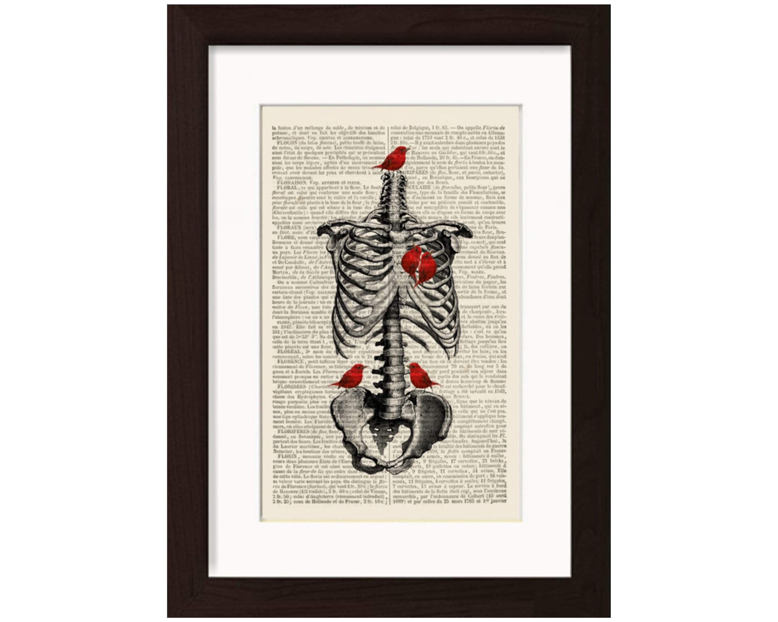 Anatomical Print Rib Cage with Red Bird Heart mixed media | Etsy