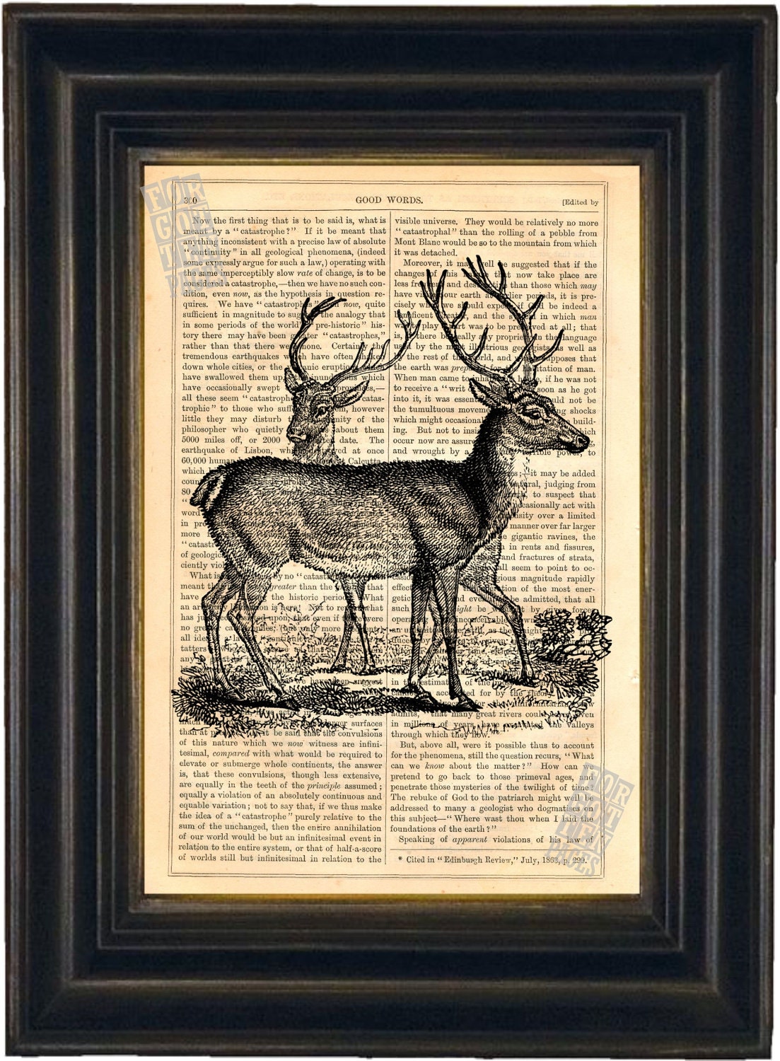 Elegant Deer Engraving Print on vintage upcycled page mixed | Etsy